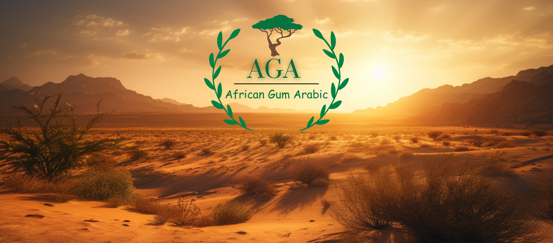 African Gum Arabic – African Gum Arabic Trading LLC